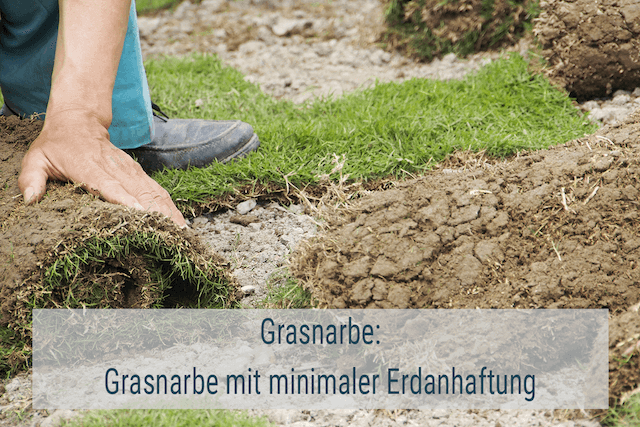 Grasnarbe Entsorgen Preis